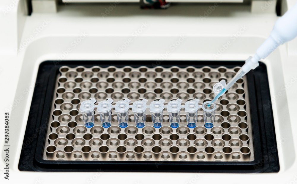 Ressearcher mix DNA, polymerase and oligonucleotides in PCR tubes on ...