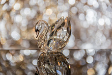 Swan And Christmas Tree Free Stock Photo - Public Domain Pictures