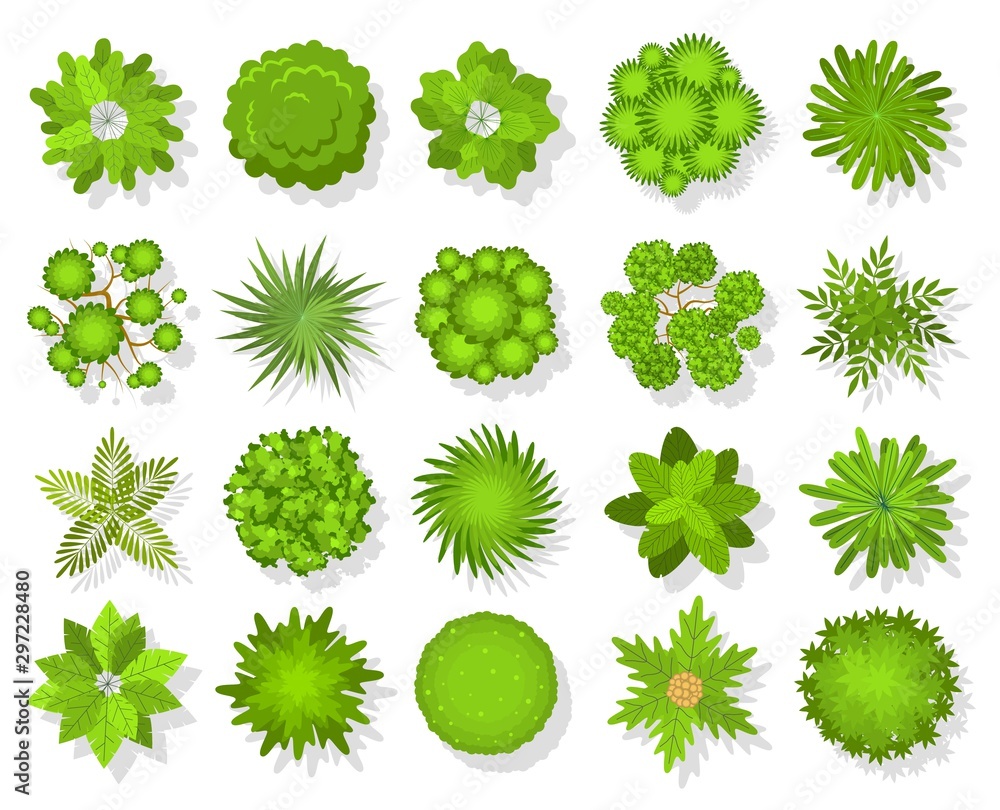 Top view trees and bushes. Aerial landscape elements. Forest and ...