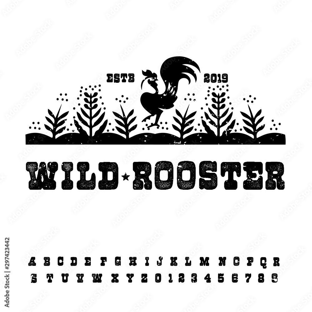 Hand drawn vintage retro font. Outdoor advertising of American Chicken ...