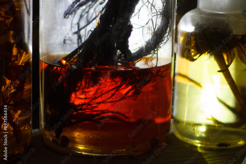Set of alchemy bottles in laboratory of alchemist. Herb in old pots ...