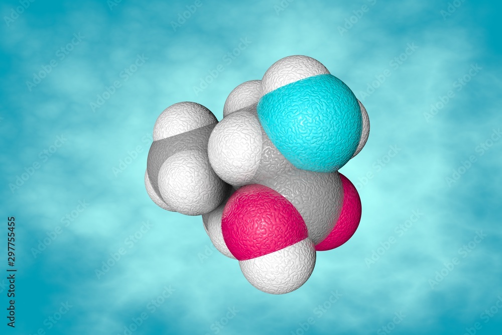 Space-filling molecular model of l-leucine. Atoms are represented as ...