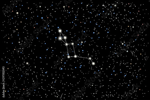 Vector illustration of the constellation Lacerta (Lizard) on a starry ...