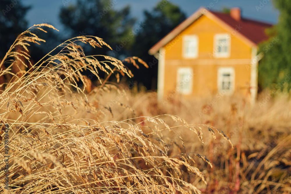 Beautiful finnish yellow farm house at blurred background warm summer ...