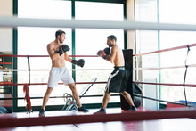 Boxing Match Free Stock Photo - Public Domain Pictures