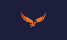 Eagle Frame Free Stock Photo - Public Domain Pictures