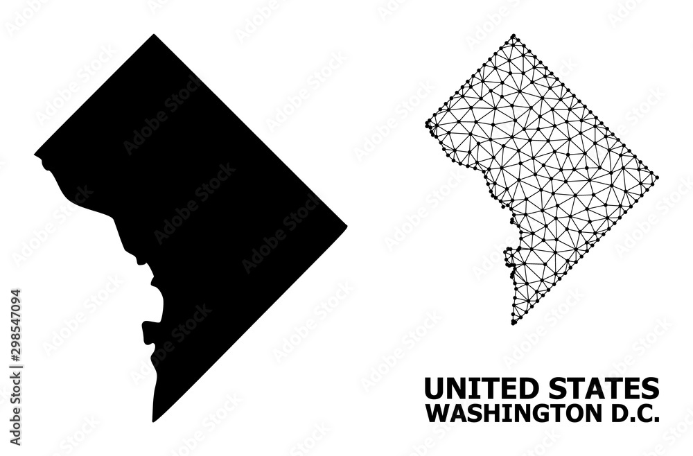 Solid and Wire Frame Map of Washington DC Stock Vector | Adobe Stock