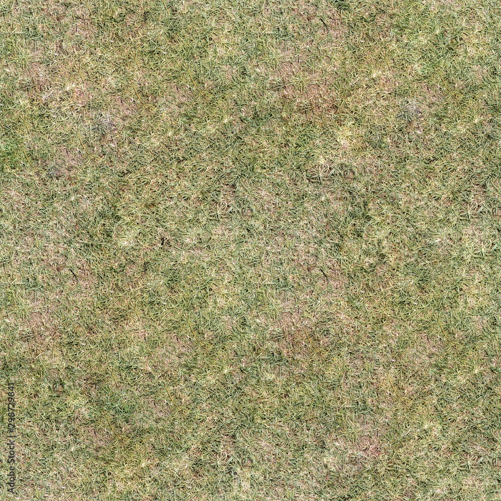Foto De Stock Grass Texture Seamless Material Map For Creating Materials Background Diffuse
