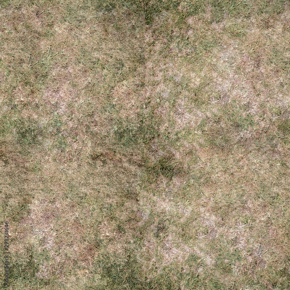 Grass Texture Seamless Material Map for creating materials, background ...