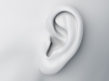 Human Ear Free Stock Photo - Public Domain Pictures