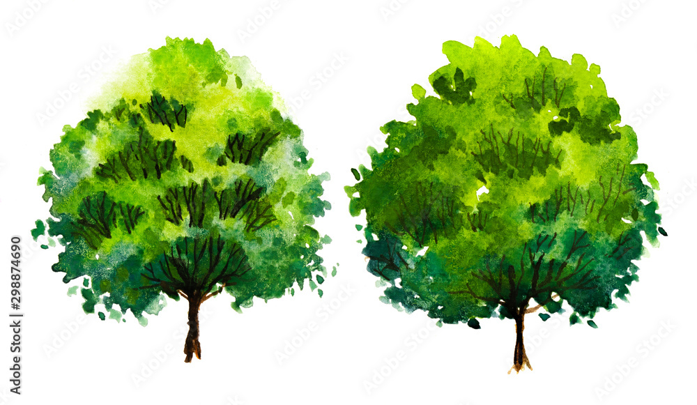 Green tree with leaves. Hand drawn watercolor painting,isolate on white ...