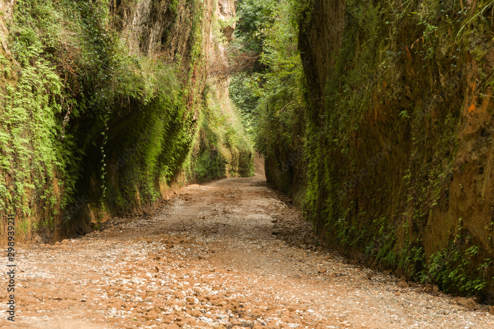 Etruscan Via Cava, one of the long trench dug into the tuff rock that ...