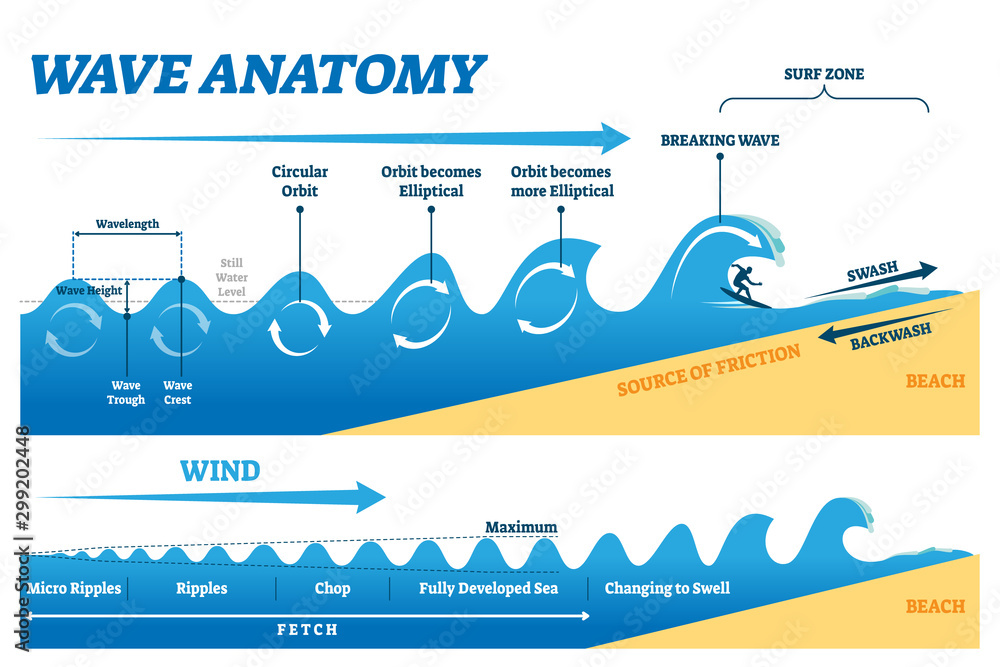 Wave anatomy vector illustration. Water movement physics explanation ...