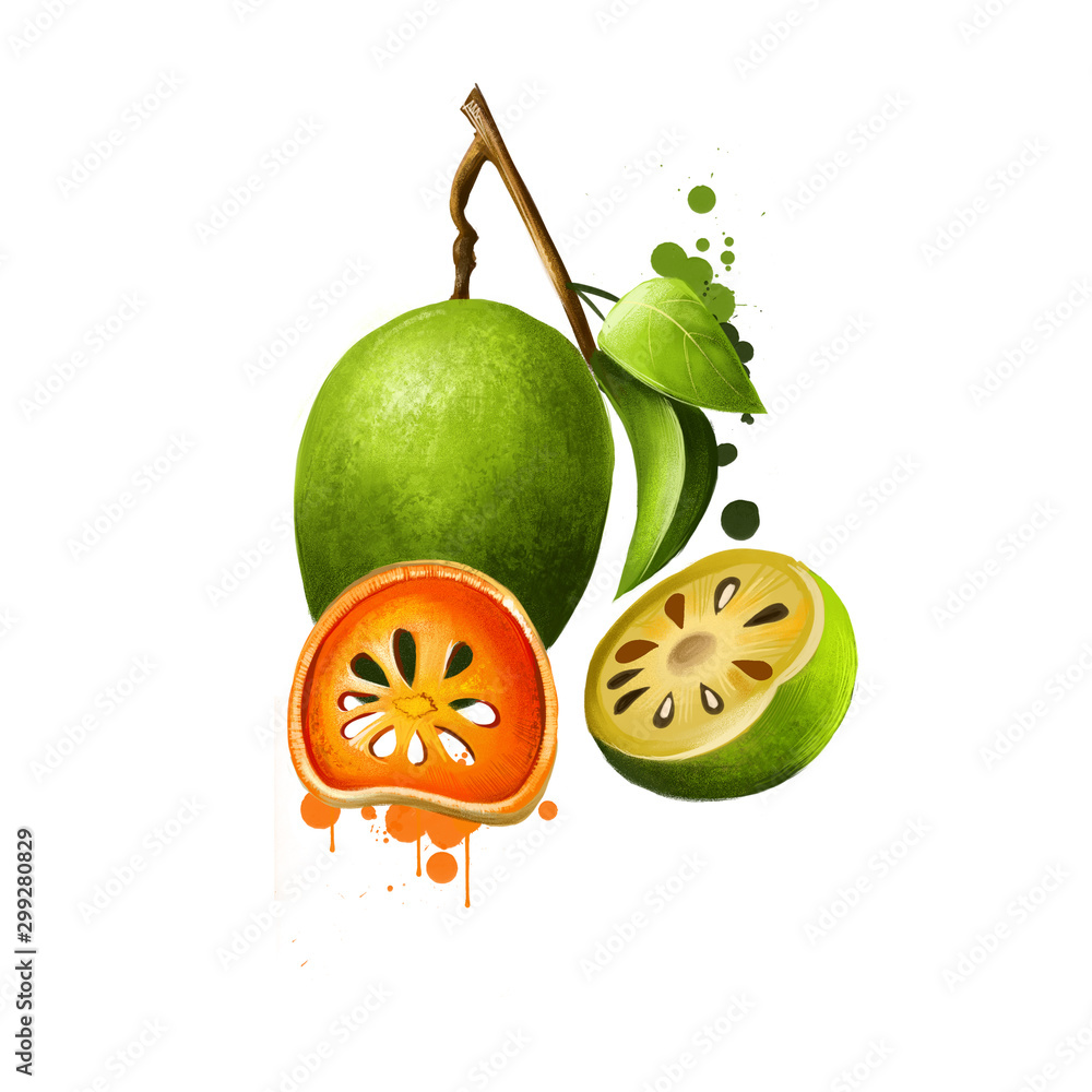 Bael Fruit Aegle marmelos isolated. Dry slices and fresh fruit of bael ...