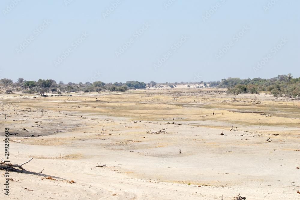 drought in africa botswana along the boteti river. Global warming and ...