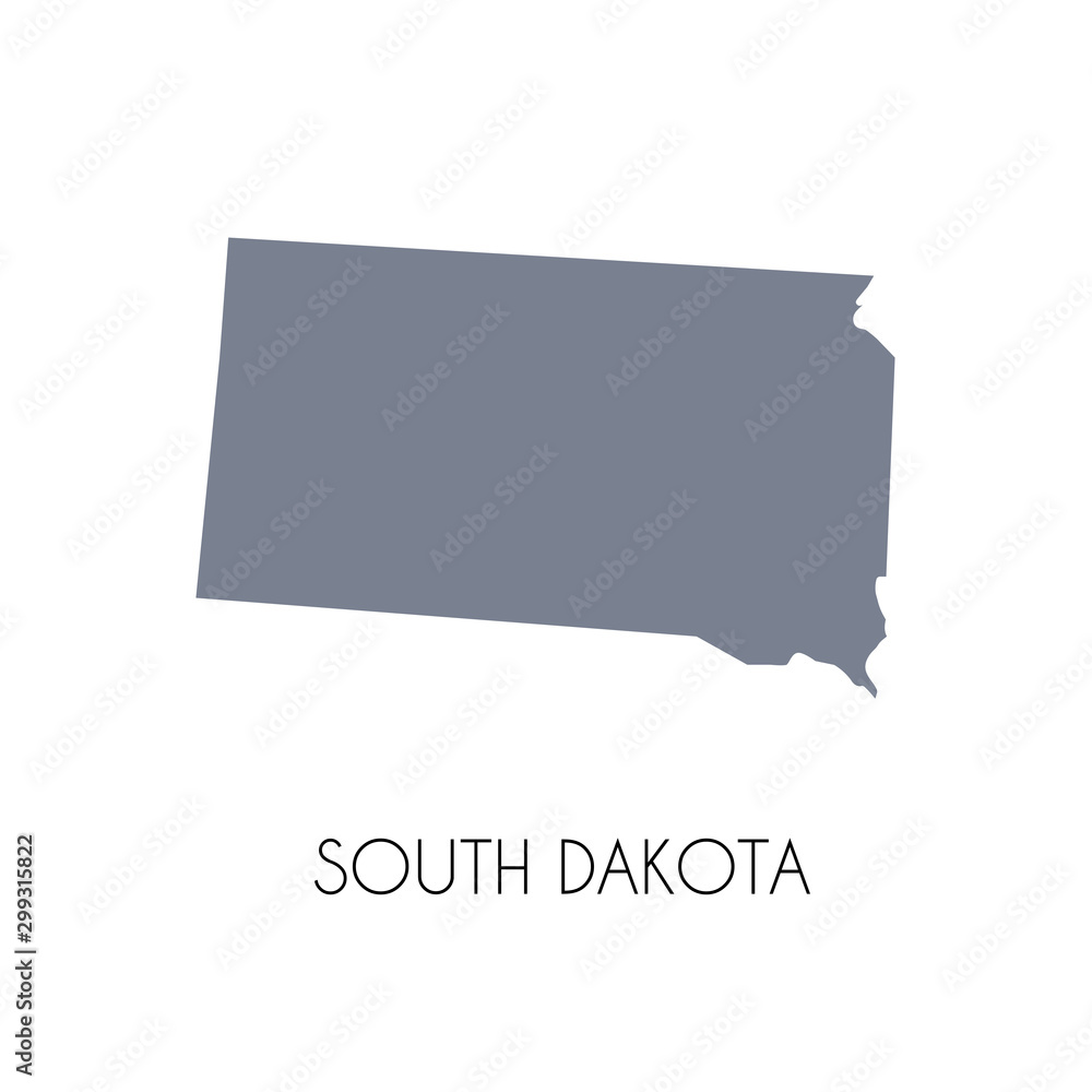 High detailed vector map - United States of America. Map with state ...