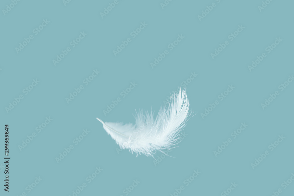 Soft white feather falling down in the air Stock Photo | Adobe Stock