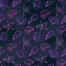 Sea Urchin Shell In Neon Colours Free Stock Photo - Public Domain Pictures