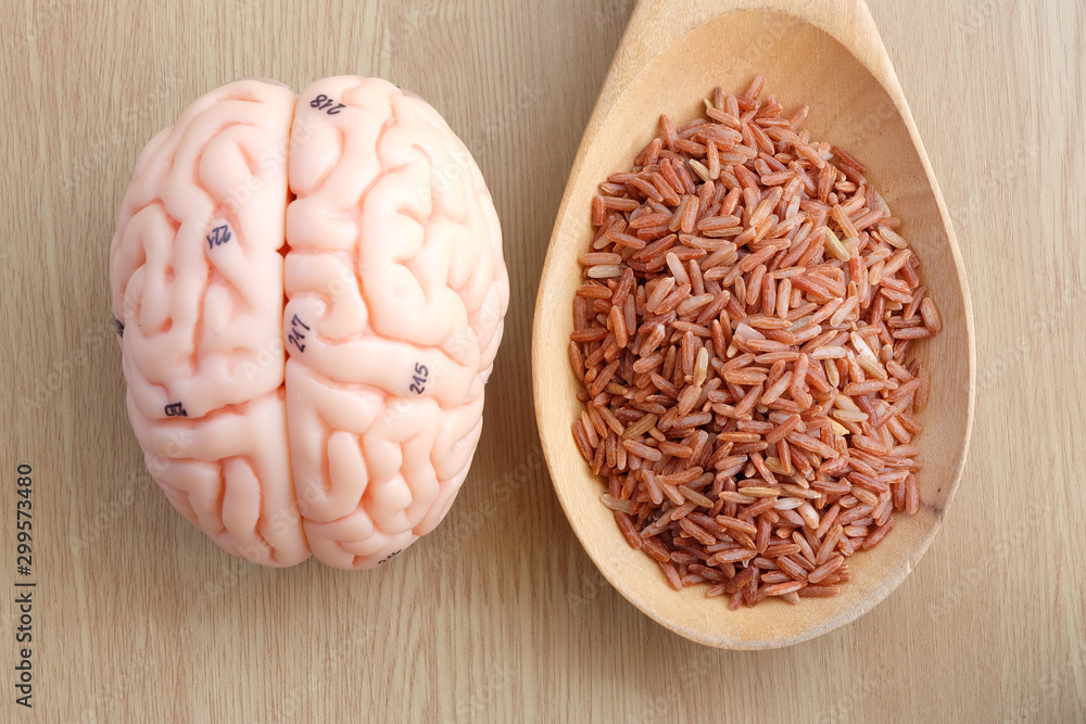 red rice and human brain anatomy Stock Photo | Adobe Stock