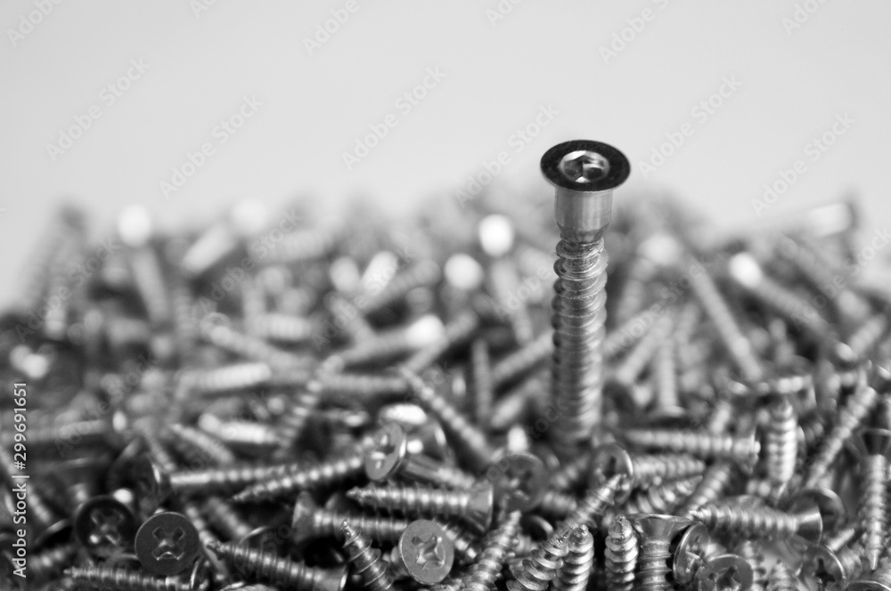 screws made of steel look like boss and subordinates close up on white ...