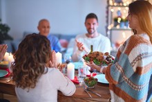 Laughing Turkey Free Stock Photo - Public Domain Pictures