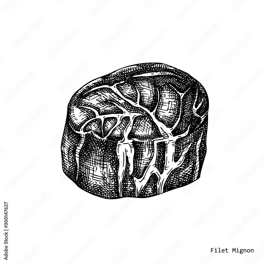 Fillet mignon vector illustration. Raw meat top view drawing. Hand ...