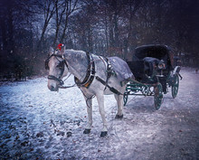 Horse-drawn Carriage In Snow Free Stock Photo - Public Domain Pictures