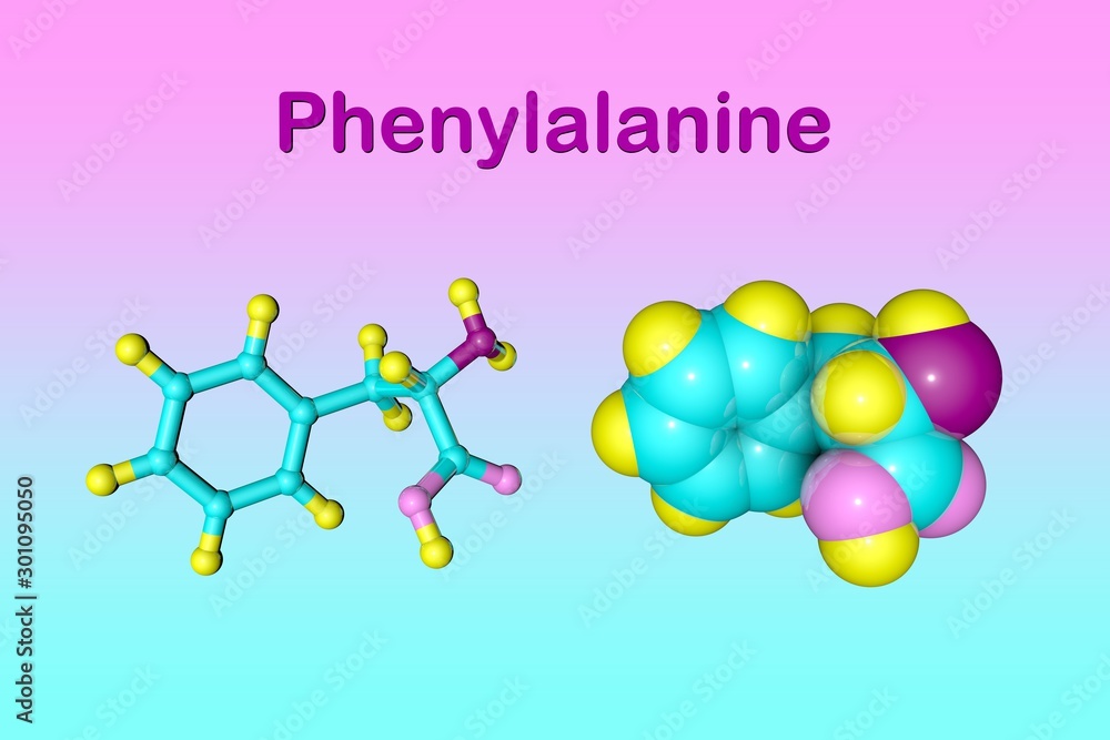 Molecular model of l-phenylalanine or phenylalanine, an essential amino ...