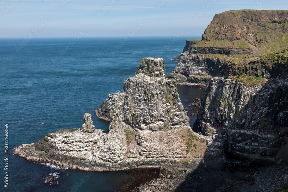 The bird cliffs on Rathlin Island, a nesting spot for millions of ...