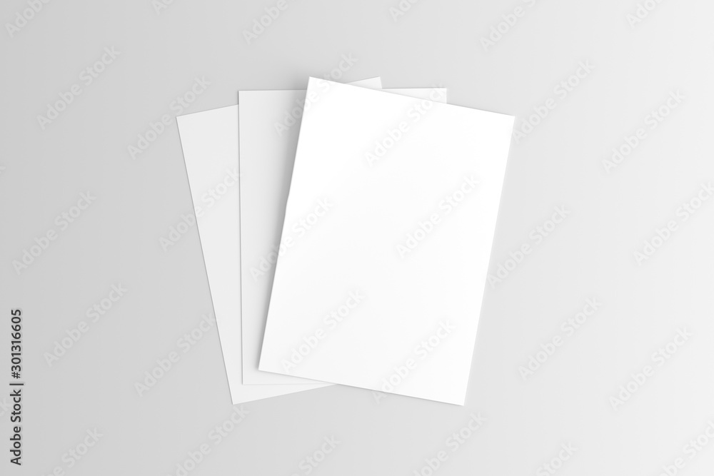 A4 A5 Flyer White Blank Mockup Stock Illustration | Adobe Stock