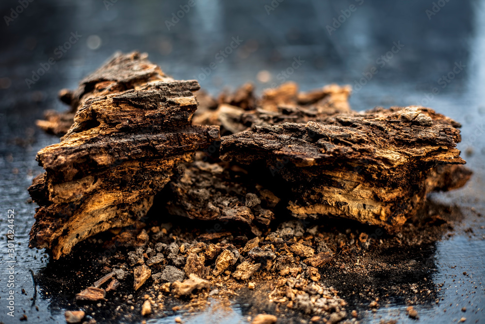 Banyan Tree Bark on the black wooden surface along with a single dried ...