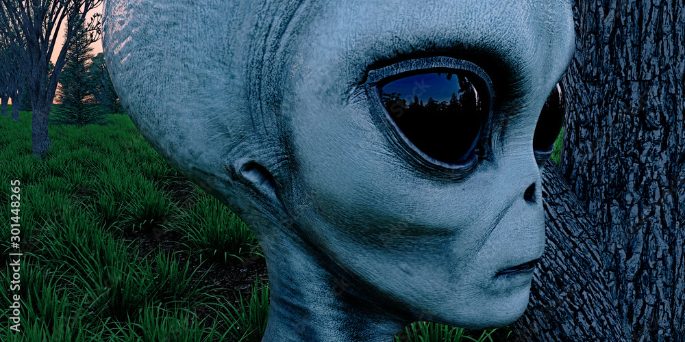 Alien Grey Humanoid Extraterrestrial Being in a forest extremely ...
