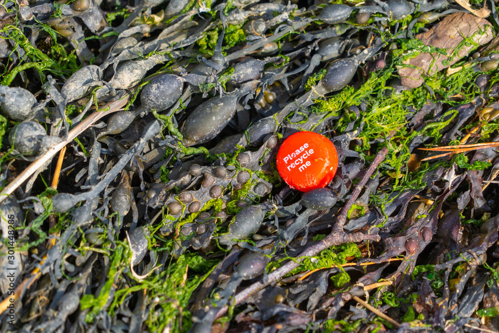 Plastic Pollution on the beach caught in seaweed, please recycle me lid ...