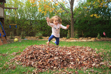 Little Girl Raking Leaves In Fall Free Stock Photo - Public Domain Pictures