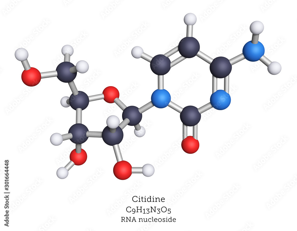 Cytidine is a nucleoside of RNA, composed of cytosine as the nucleobase ...