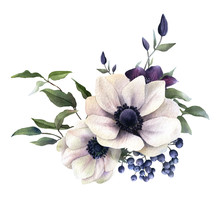 Anemone Flower Watercolor Clipart Free Stock Photo - Public Domain Pictures
