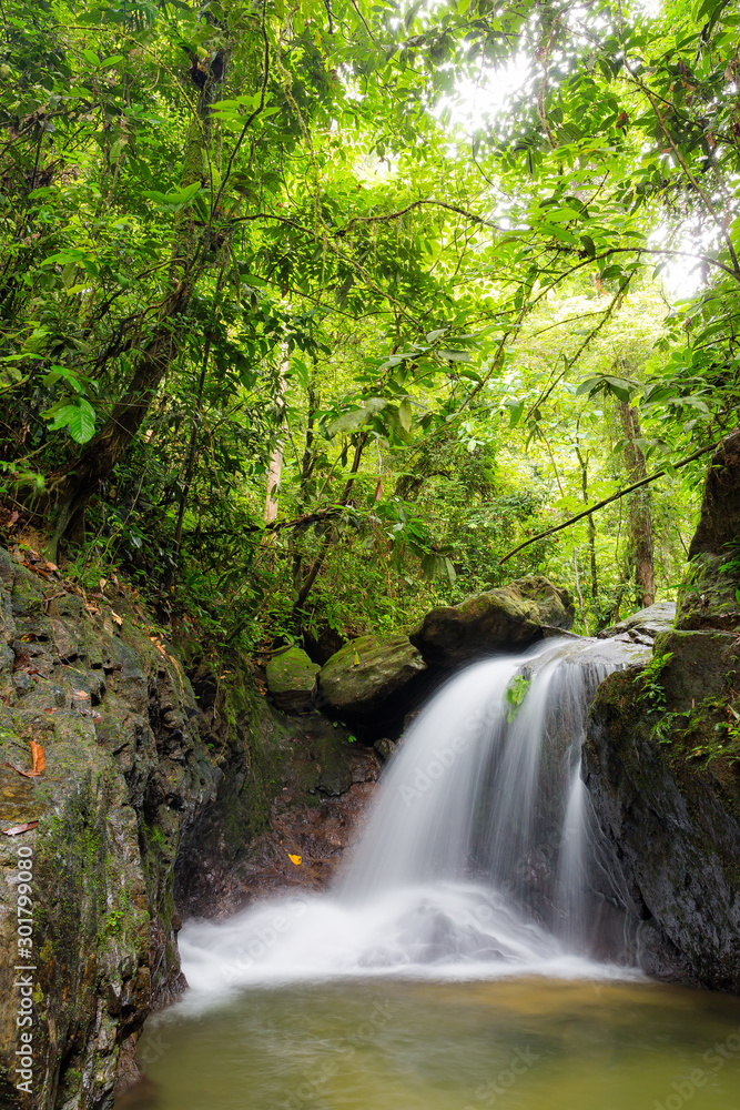 Beautiful cascade waterfall in the rainforest during a ecotourism ...