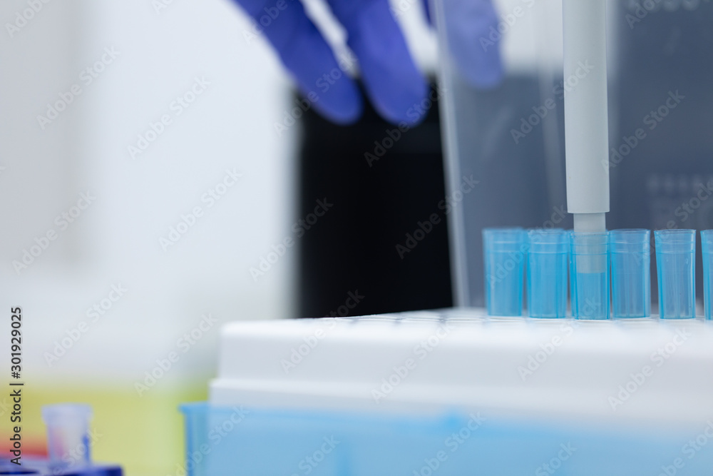 Foto de Stock Polymerase Chain Reaction (PCR) and Agarose gel ...
