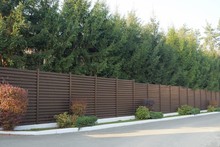 Spruce Tree Wooden Farm Fence Free Stock Photo - Public Domain Pictures