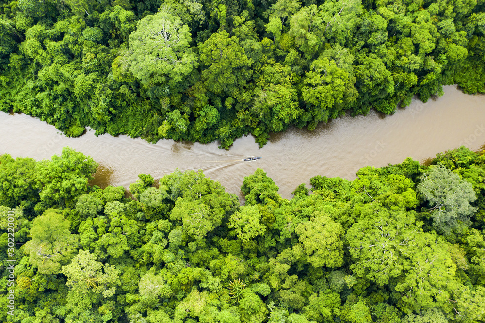 View from above, stunning aerial view of a tropical rainforest with the ...