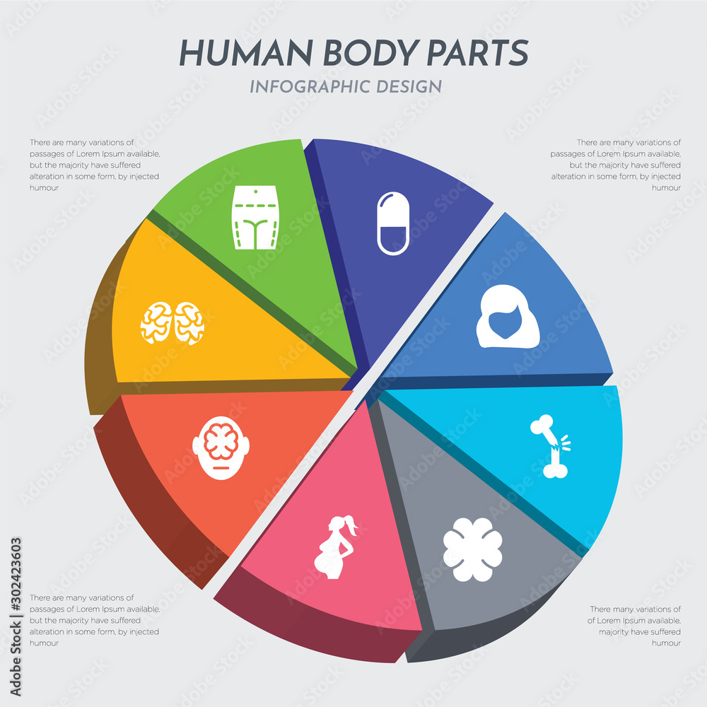 Vector de Stock human body parts concept 3d chart infographics design ...