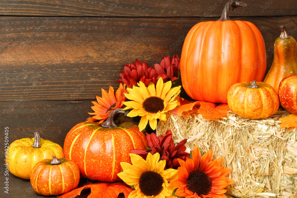 Fall decoration of Sunflowers, Mum flowers pumpkins and gourds arranged ...