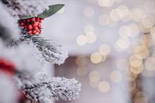 Red Lights Tree Free Stock Photo - Public Domain Pictures