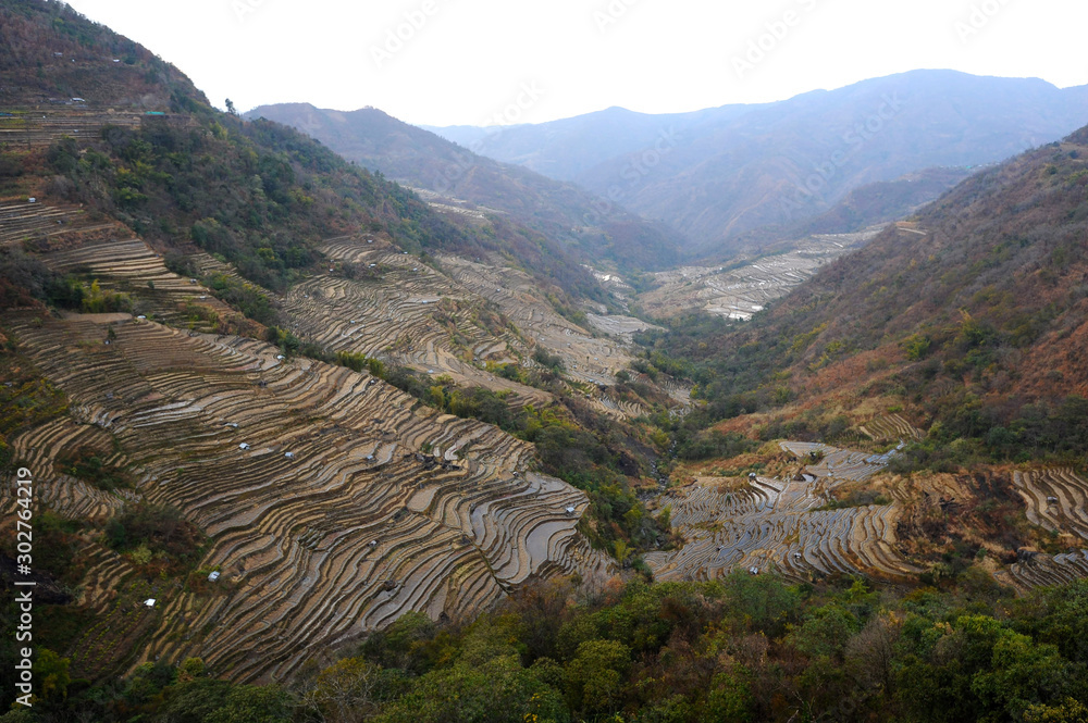 Terraced rice paddy lining the sloping hillsides in the Naga hills ...