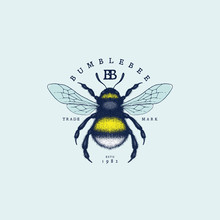 Bees Vintage Art Clipart Free Stock Photo - Public Domain Pictures