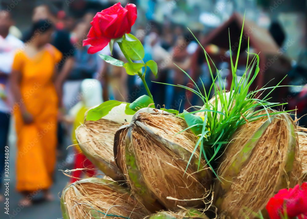 Offering to Lord Ganesh. Coconut, Durva (Doorva Grass or Bermuda grass ...