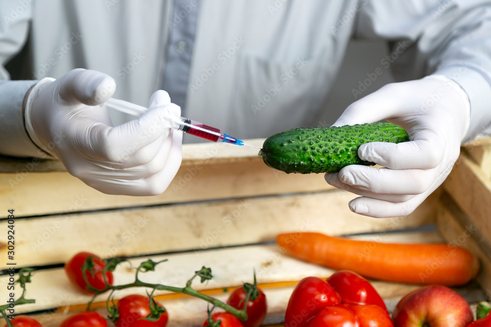 A man injects chemicals into a cucumber, fertilizers and chemicals with ...