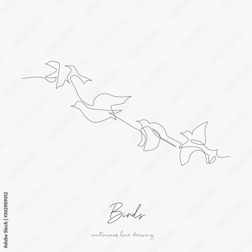 continuous line drawing. birds. simple vector illustration. birds ...