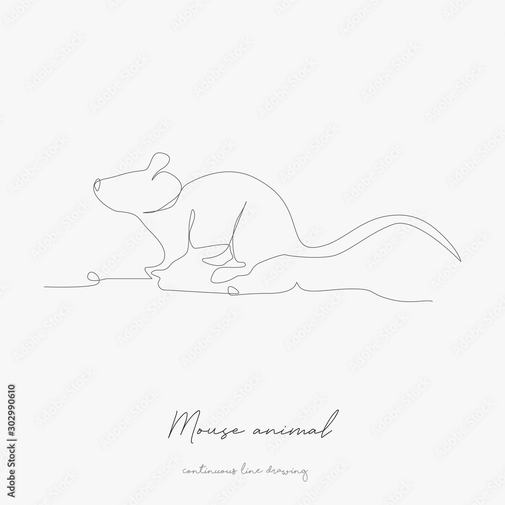 continuous line drawing. mouse animal. simple vector illustration ...