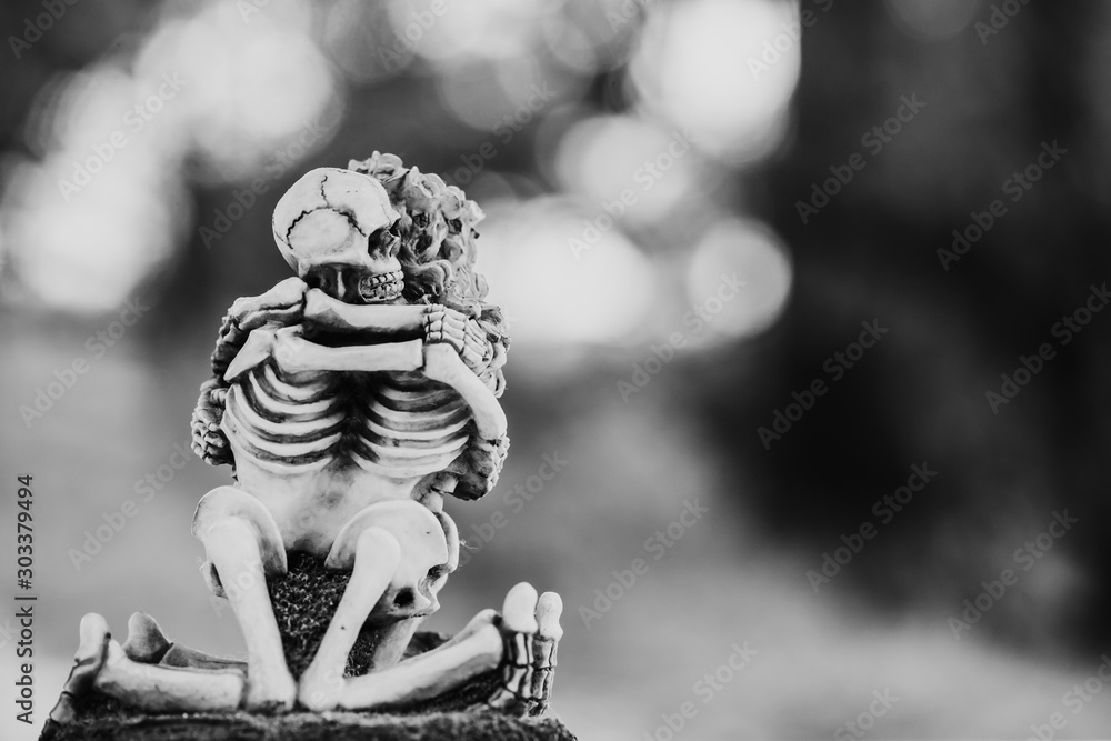 Skeleton couple in love and hug.Love never died concept.Still life ...